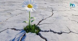 100+ Motivational Quotes for a Fresh Start in Life